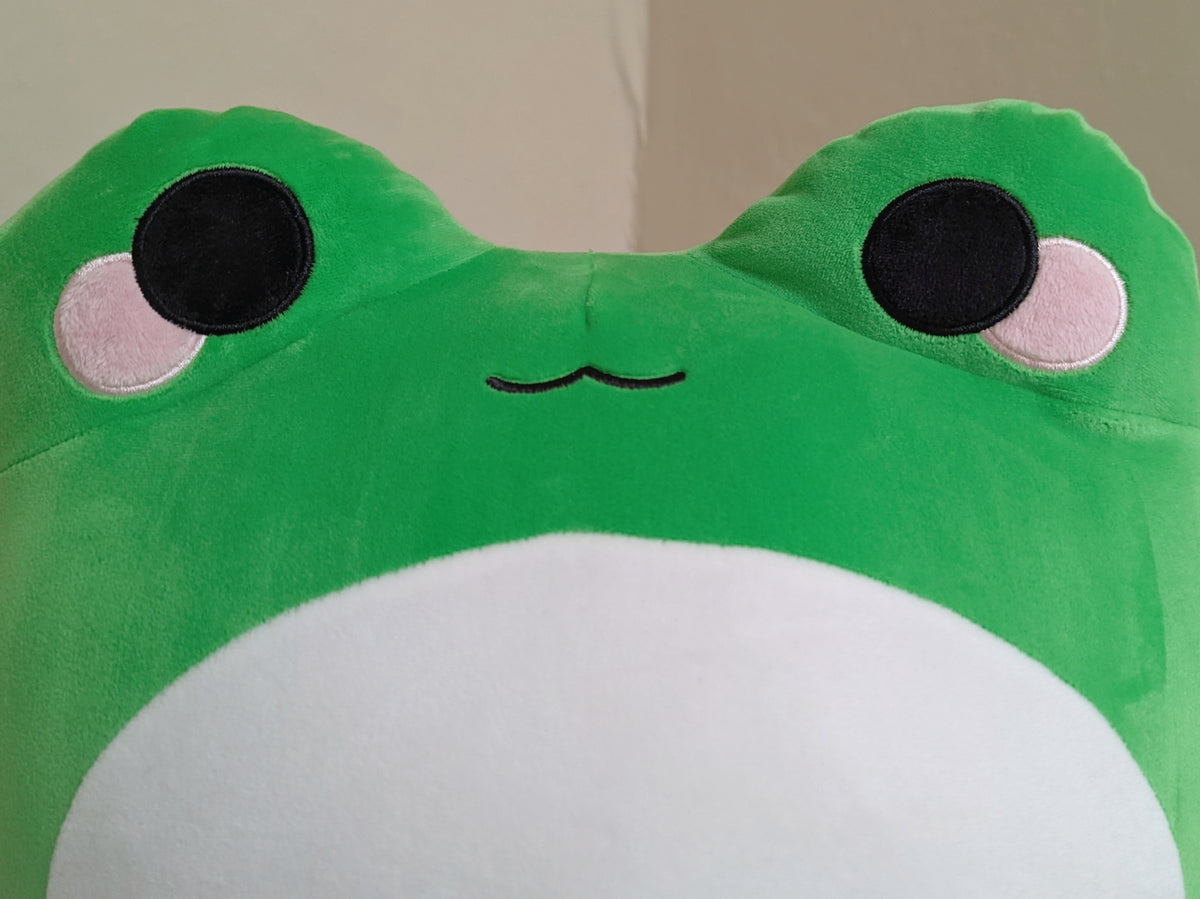 Squishy Plushie Pals - Pea the Frog Plush – Pingki Penguin